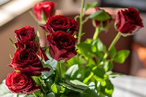 Gallery – Coolcower House